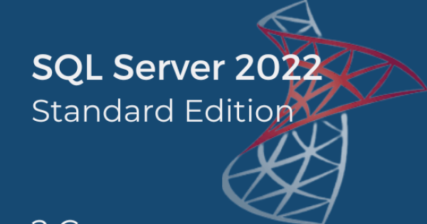 Microsoft SQL Server 2022 Standard Core - (2 Core License Pack) (Perpetual)