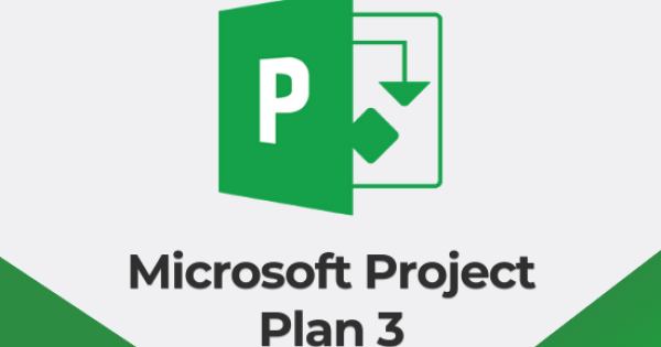 Microsoft Project Plan 3 Yearly