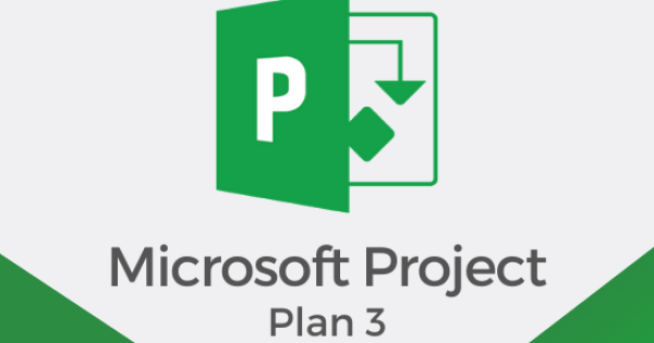 Microsoft Project Plan 3 (Yearly)
