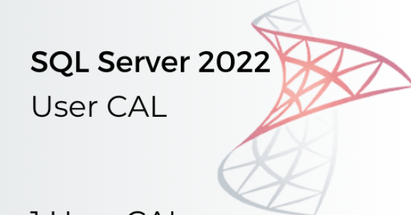 SQL Server 2022 1 User CAL License