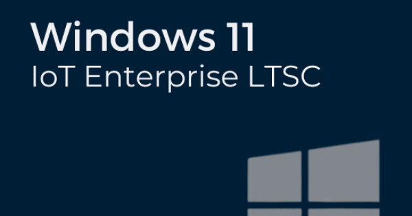 Microsoft Windows 11 IoT Enterprise LTSC 2024 (Perpetual)