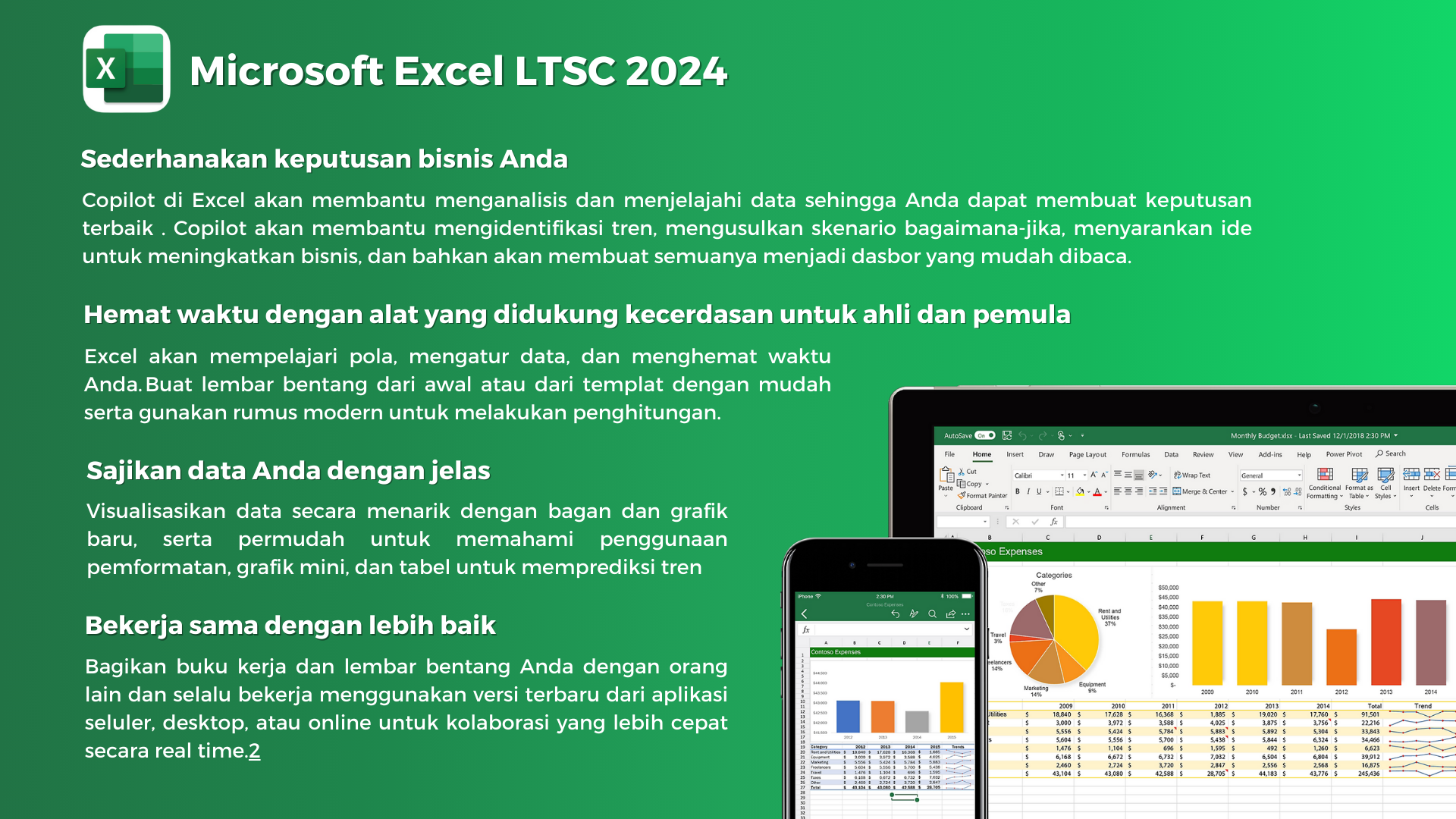 Microsoft Excel LTSC 2024 (CSP) (Perpetual)