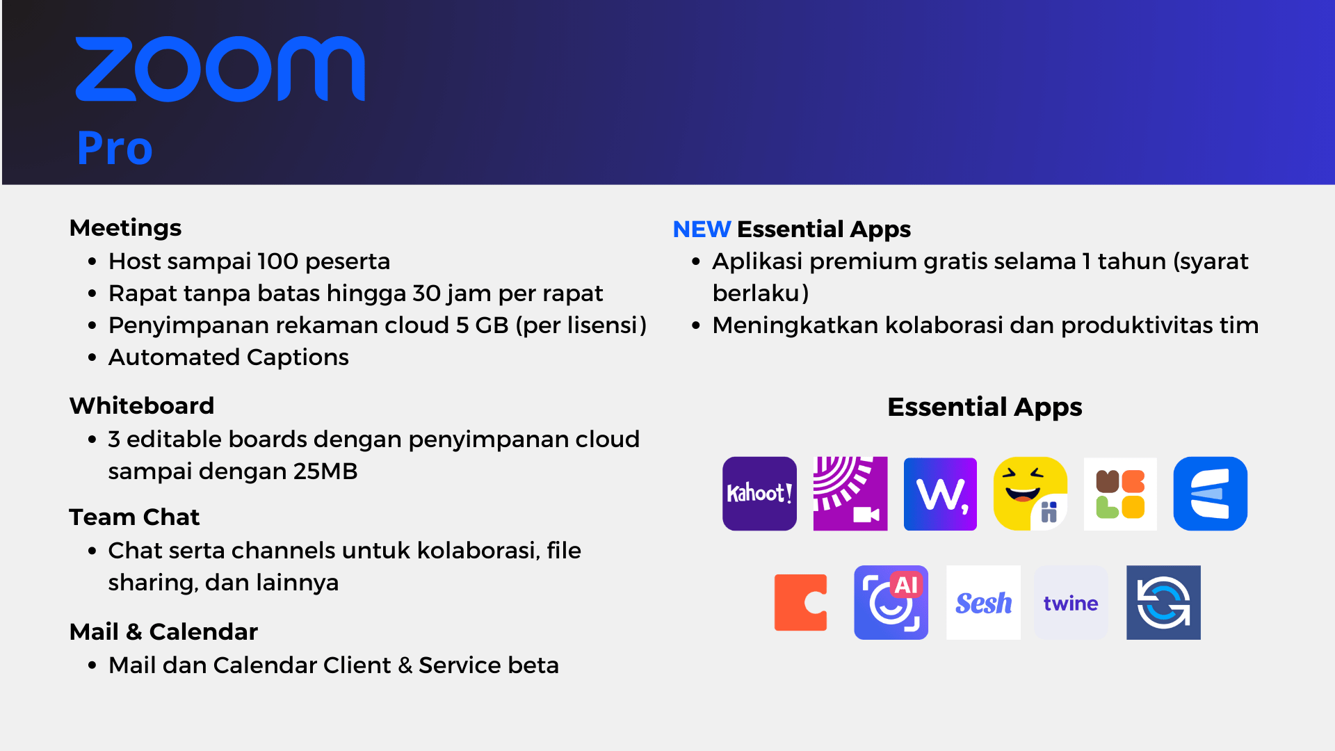 Zoom Workplace Pro (1 Host) (New Account) (Yearly)